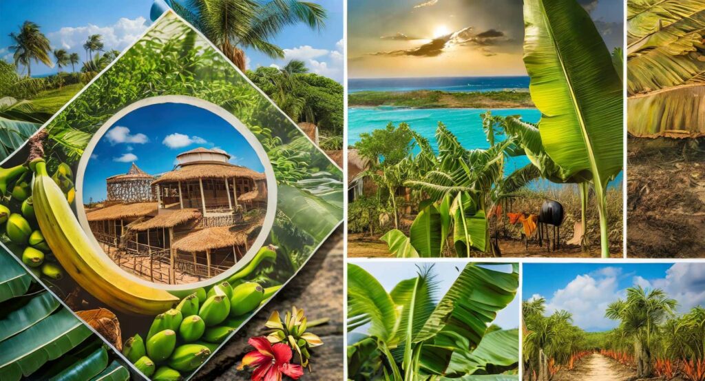 Banana History: From Ancient Origins To Modern Marvels - Banana Sensation